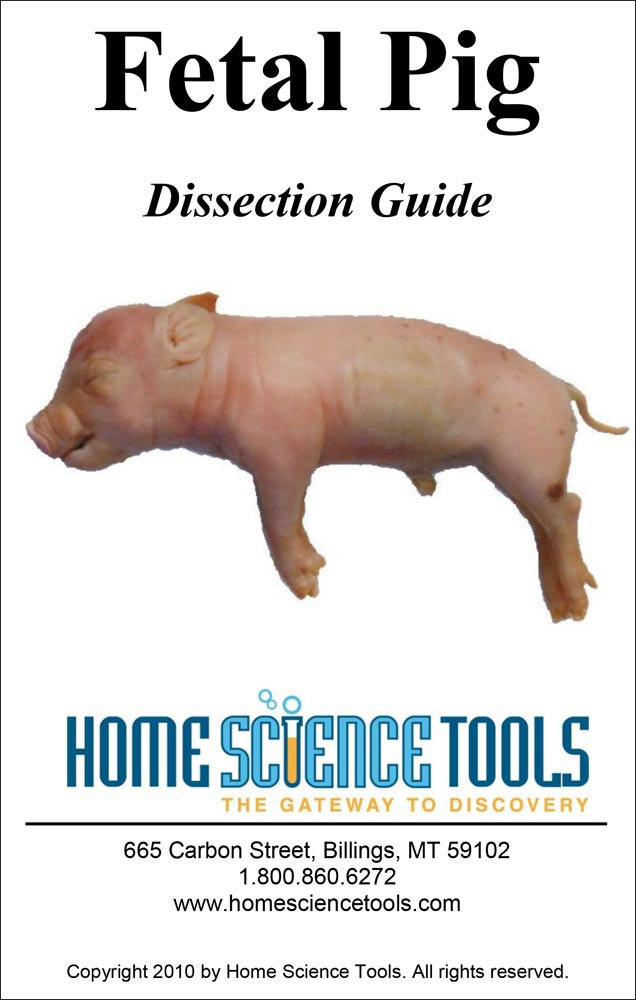 Fetal Pig Dissection Guide for Students