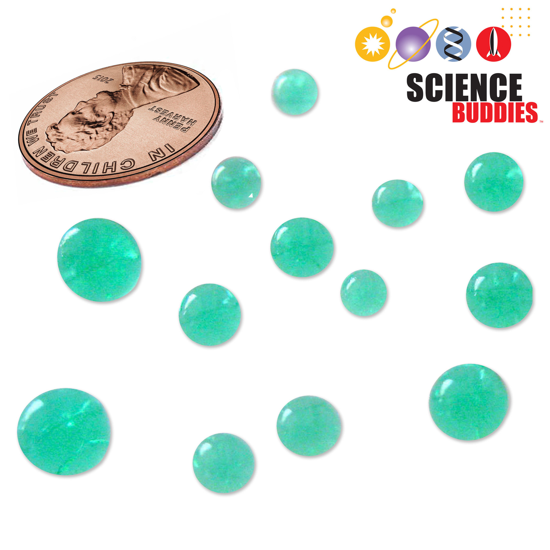 Spherification Kit | Molecular Gastronomy Spherification Kit