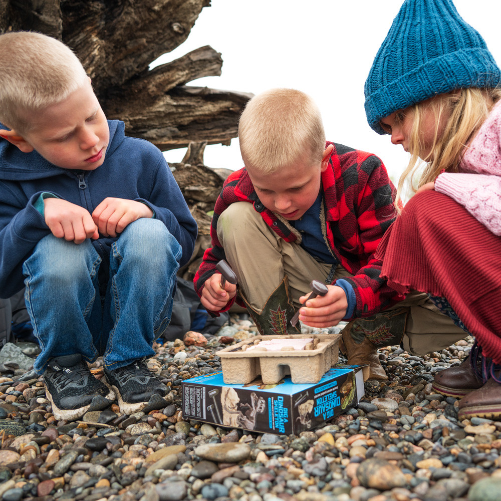 Paleontologist's Backpack Kit | Fossils, guides, paleontology tools & more