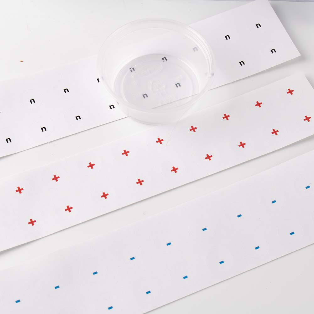 Atoms, Isotopes, and Ions Kit | Student Physics Kit