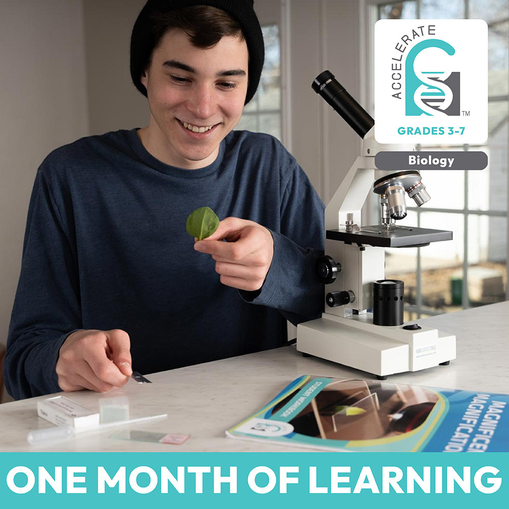 Magnificent Magnification with Home LED Microscope