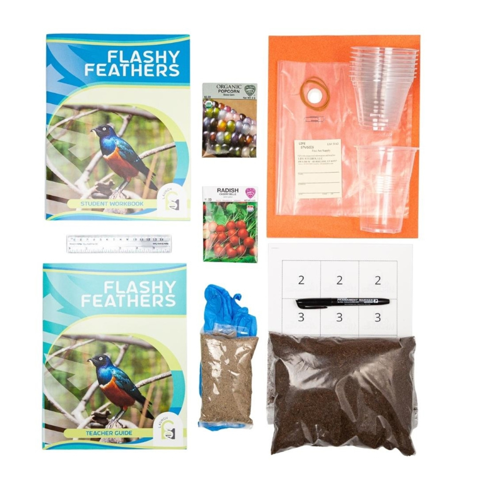 Biology Launch (Grades 8-12) | Science Unlocked | Homeschool Biology ...