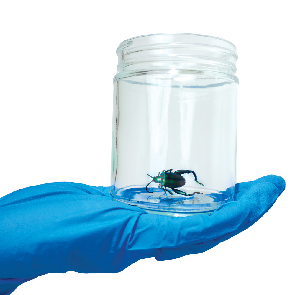 Novare The Apprentice's Companion for Life Science Lab Kit