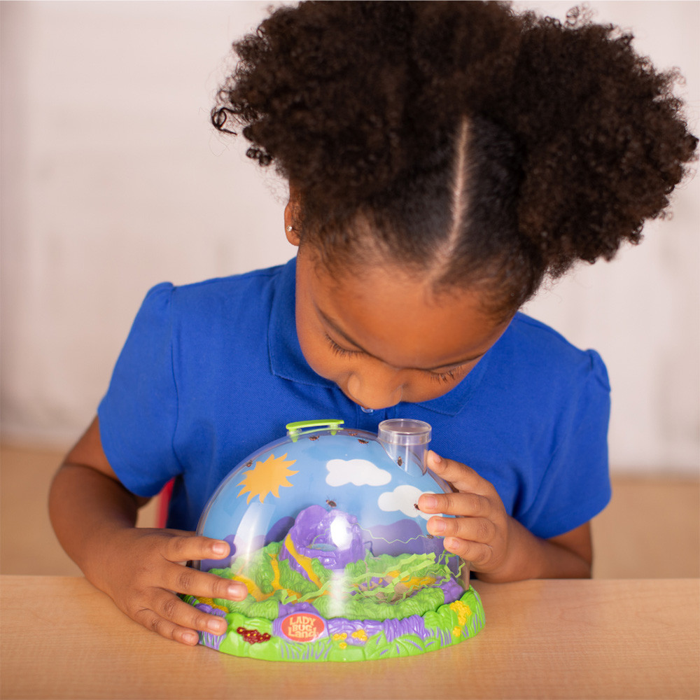 Ladybug Kit | Ladybug Land: Habitat & Growing Kit | HST