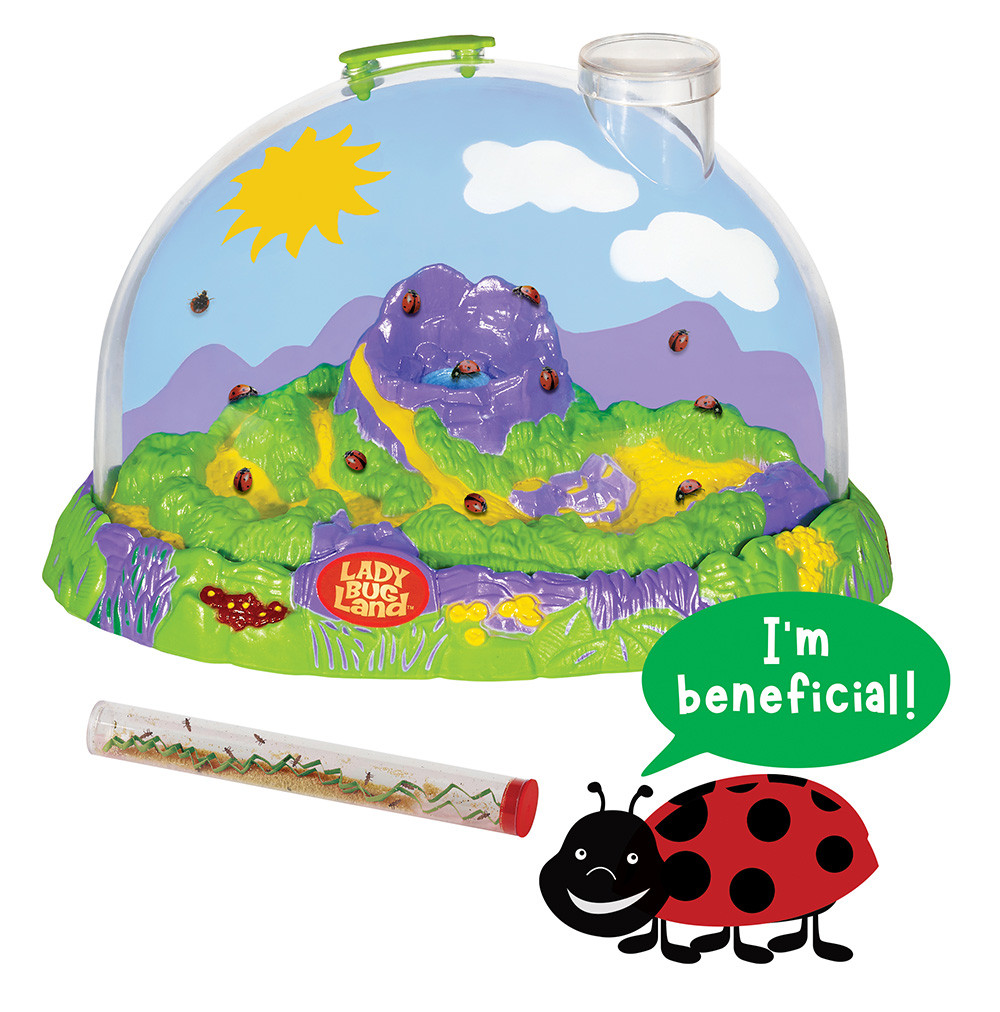 Ladybug Kit | Ladybug Land: Habitat & Growing Kit | HST
