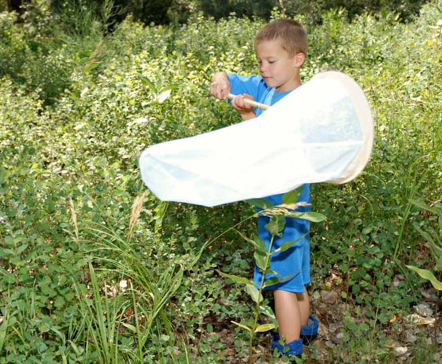 Standard Insect Net for Kids | Bug Catching Net