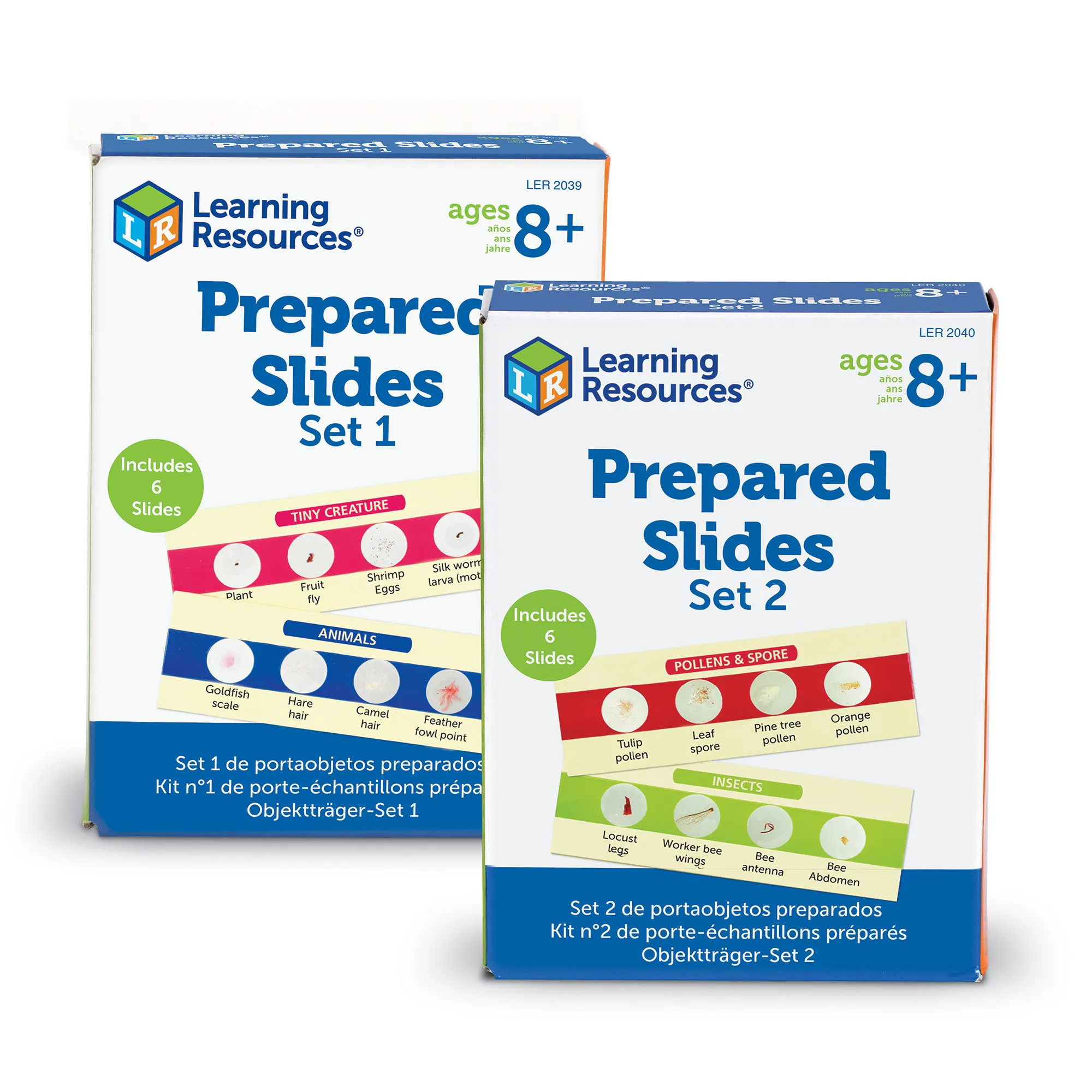 Kids Microscope Slide Set | HST