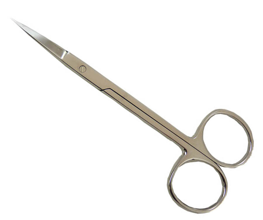 Straight Iris Scissors for Dissecting | Home Science Tools