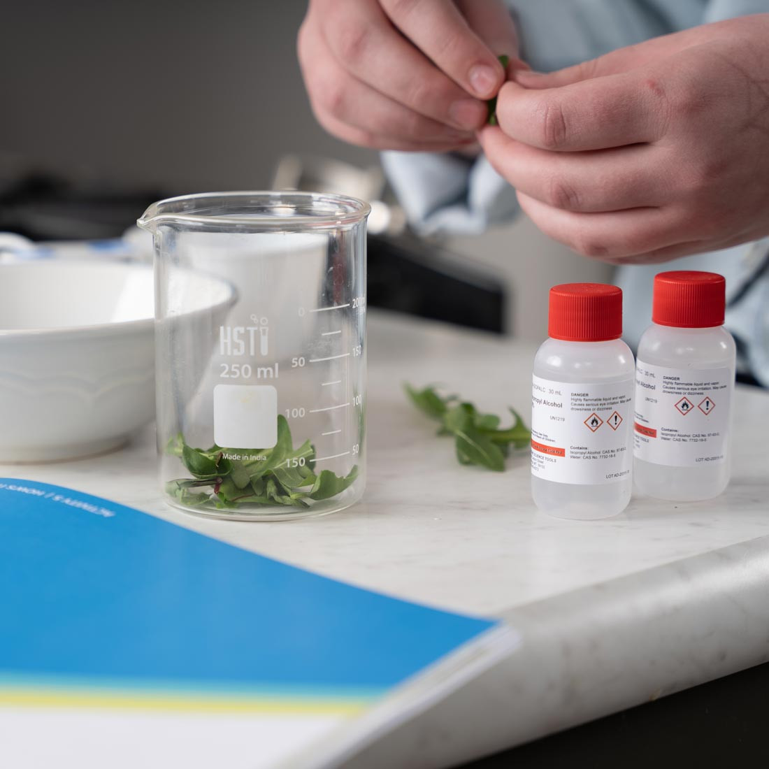 How's It Growin' Science at Home Kit | Middleschool