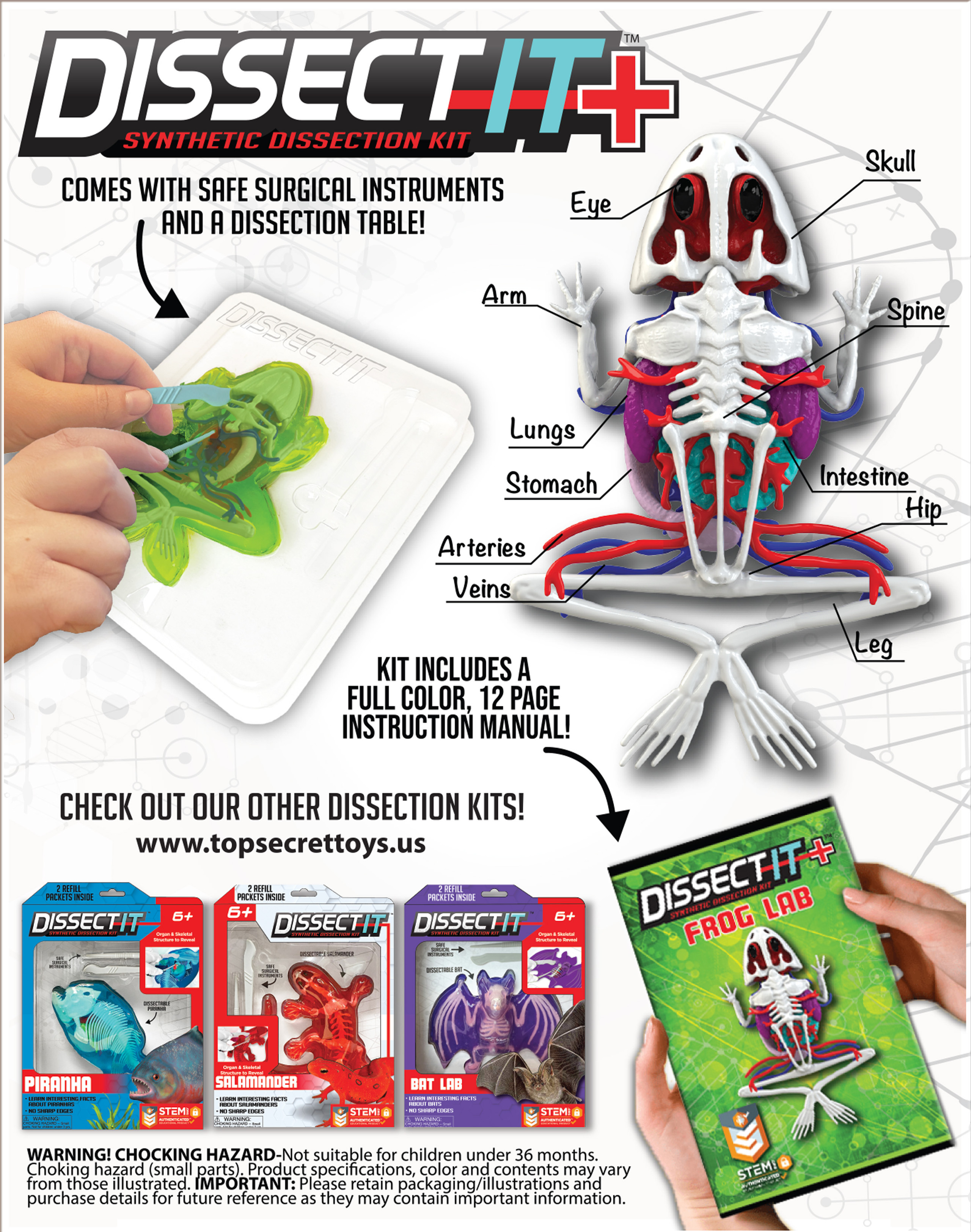 Dissect-It Synthetic Gel Frog Lab Plus