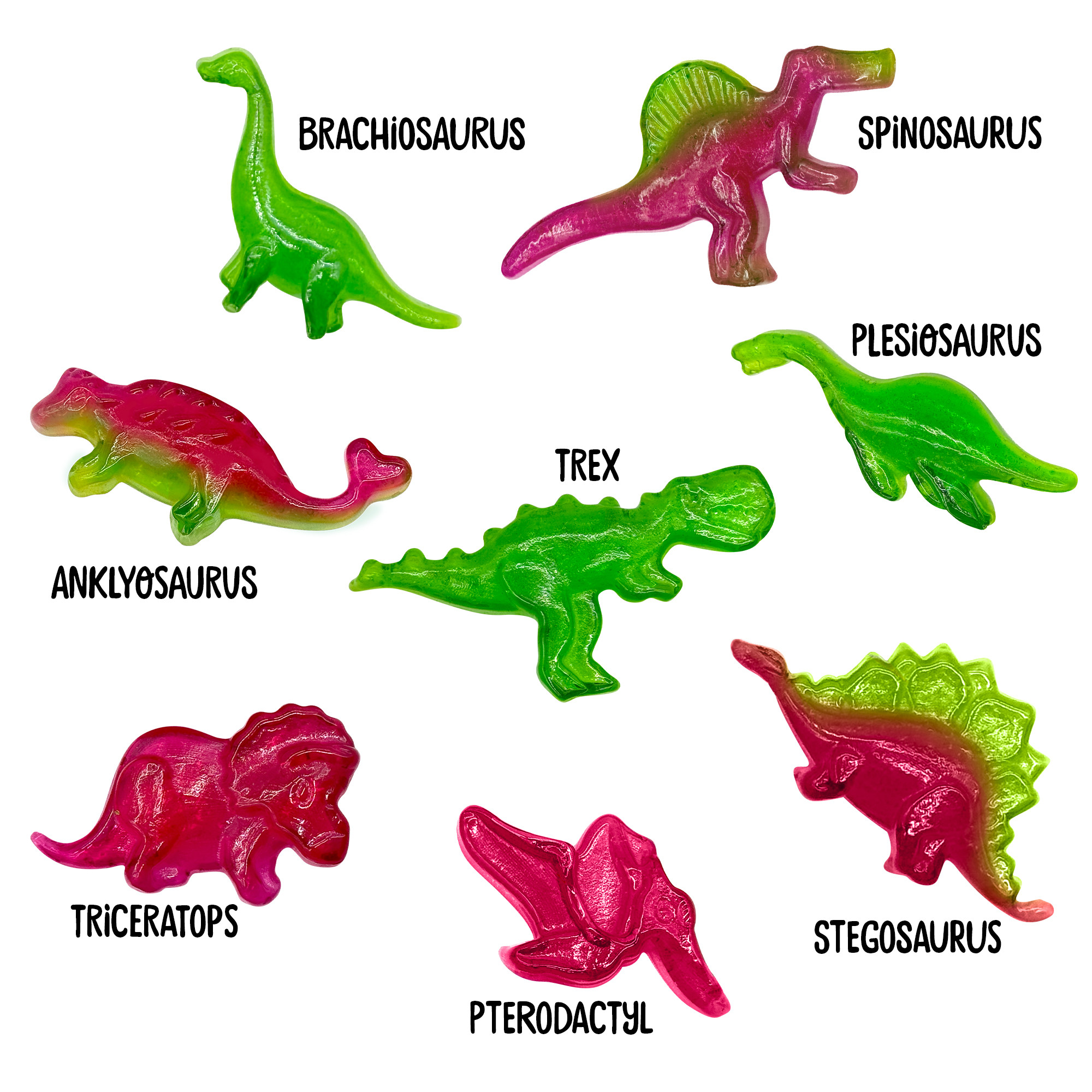 Dinosaur Gummy Candy Kit