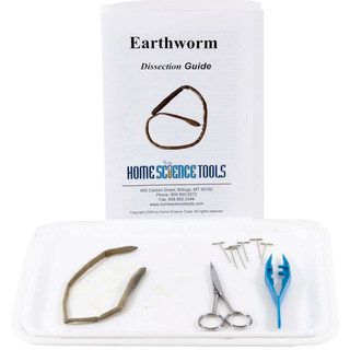Worm Dissection Kit for Kids Science Anatomy | HST