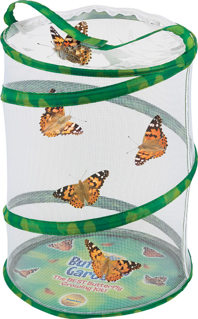 Insect Lore Butterfly Garden Kit for Kids, 11.5" Habitat | HST
