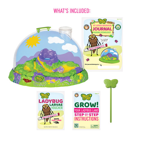 Ladybug Kit | Ladybug Land: Habitat & Growing Kit | HST