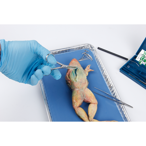 Apologia Biology Dissection Lab Kit | Homeschool Dissection Kit