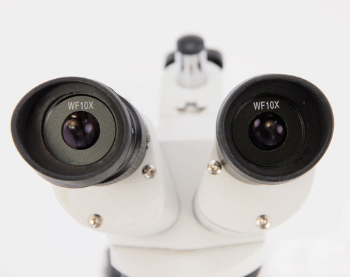 Deluxe Dual-Power Stereo Microscope 20/40x Model | HST