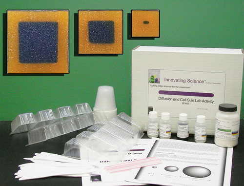 Cell Size and Diffusion Kit