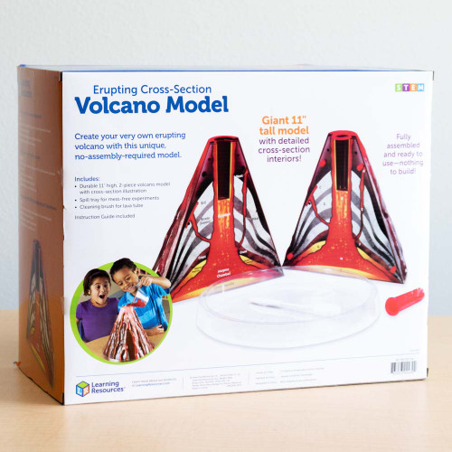 Cross-section erupting volcano model