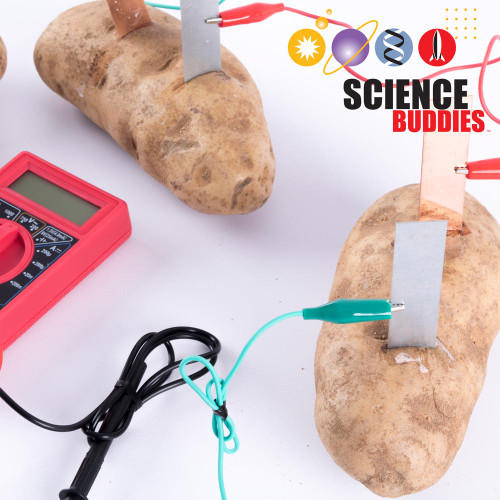 Veggie Power Battery Kit | Potato Battery Kit for Electricity Project