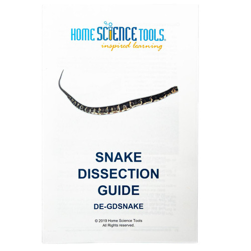 Snake Dissection Kit - Home Science Tools