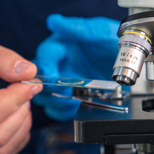 Microscope Slide Making Kit