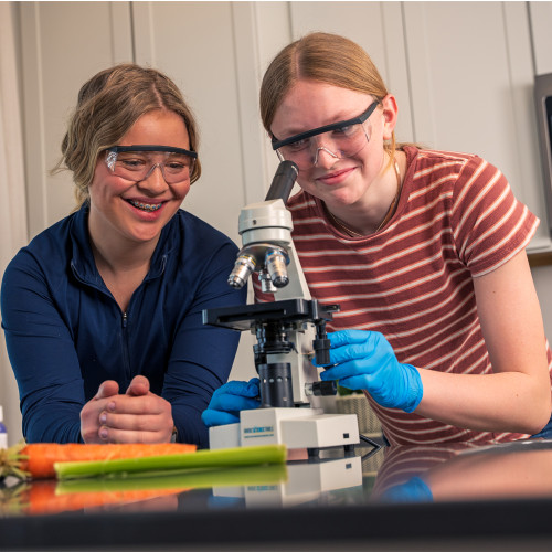 Microscope Slide Making Kit