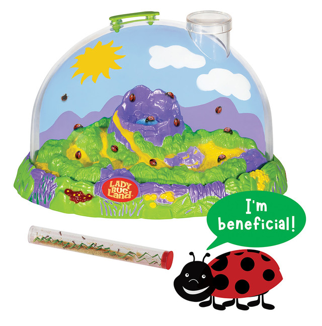 Ladybug Kit | Ladybug Land: Habitat & Growing Kit | HST