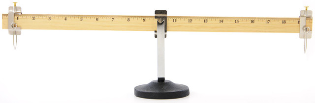 Demonstration Balance & Study Guide | Home Science Tools