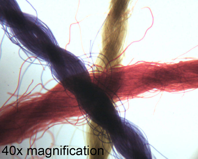 Crossed Colored Threads Slide | Three Colored Threads Under Microscope