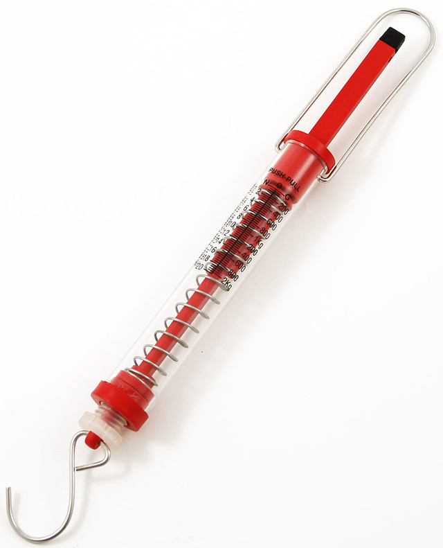 spring scale function