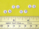 Antibiotic Disc Set for Sensitivity Testing | Antibiotic Sensitivity Disc