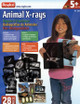 Animal X-Rays | Set of 12
