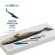 Dogfish Shark Dissection Kit for Kids Marine Anatomy | HST