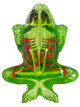Dissect-It Synthetic Gel Frog Lab Plus