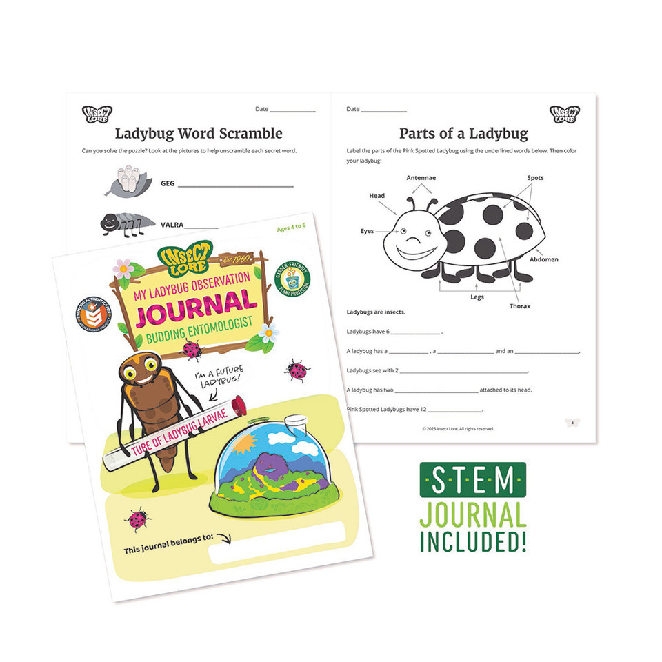Ladybug Kit | Ladybug Land: Habitat & Growing Kit | HST