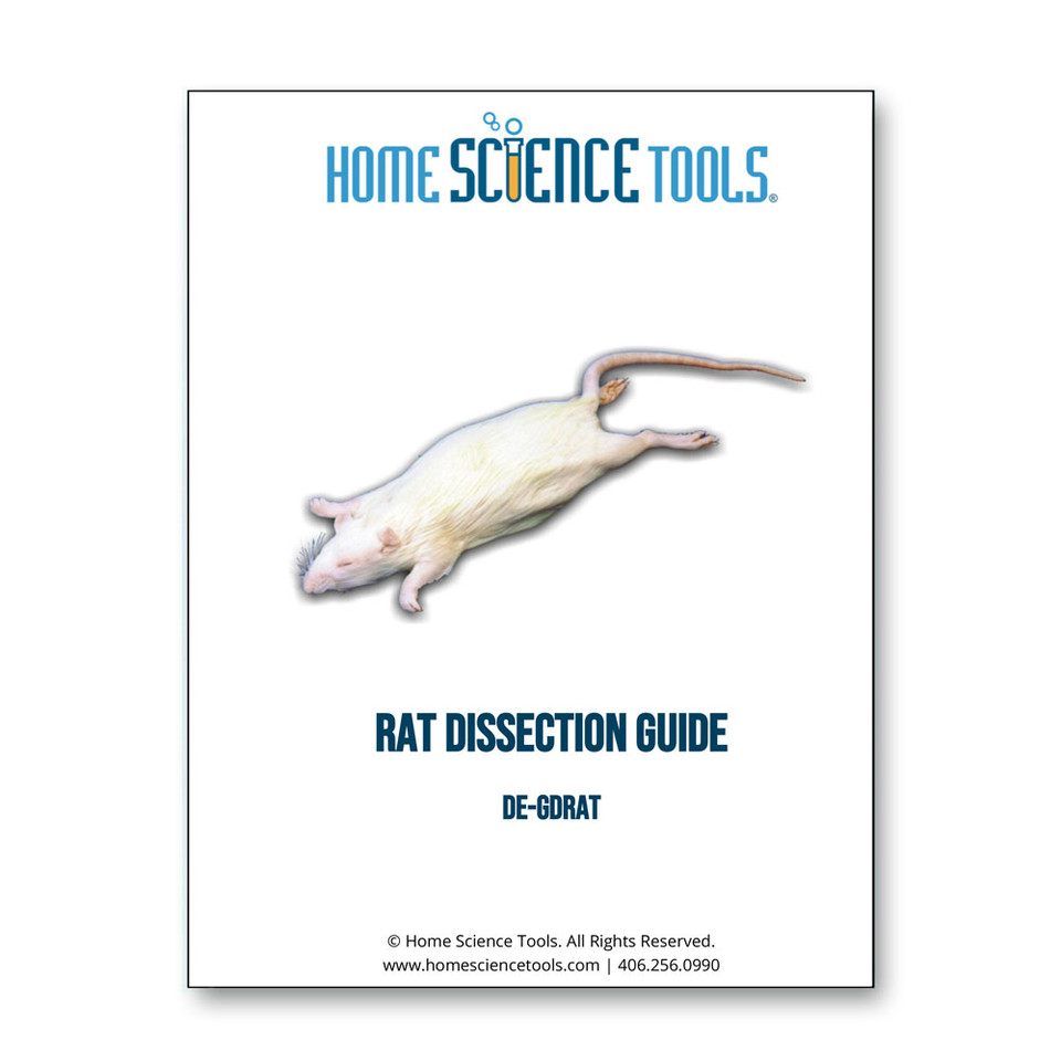 Rat Dissection Guide
