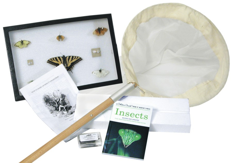 Insect Collecting Kit | Bug Hunting and Catching Kit