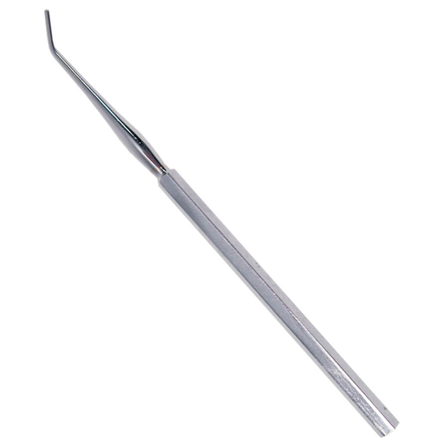 Probe & Seeker, 6" Length | Dissecting Probe | Home Science Tools