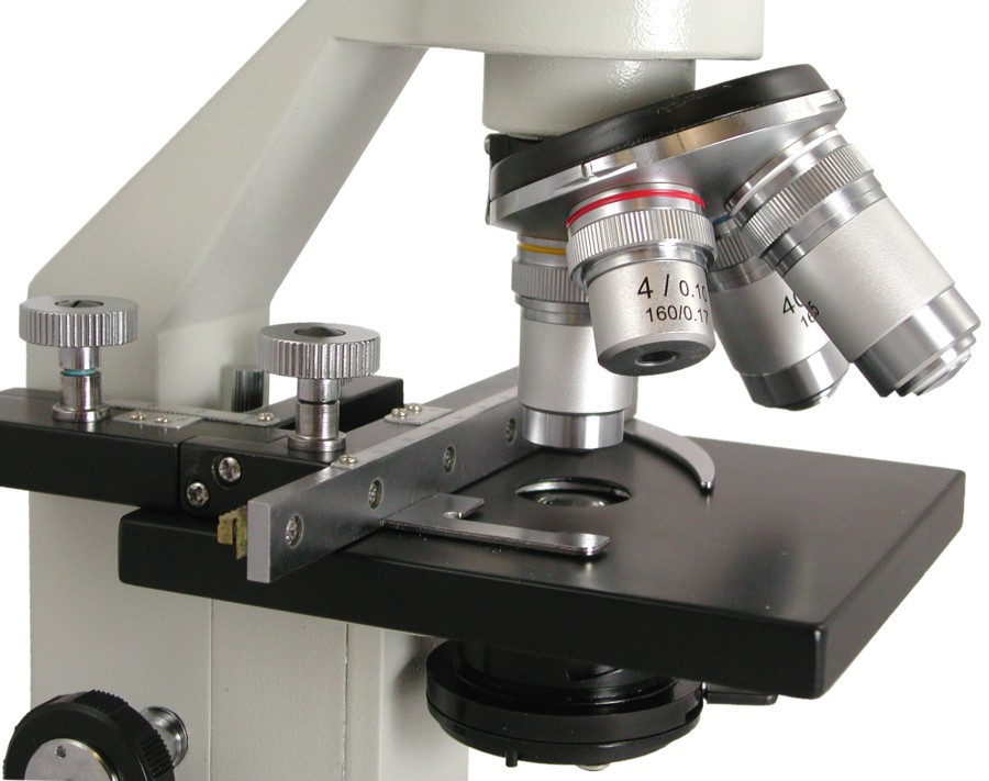 Mechanical Stage for Compound Microscopes | HST