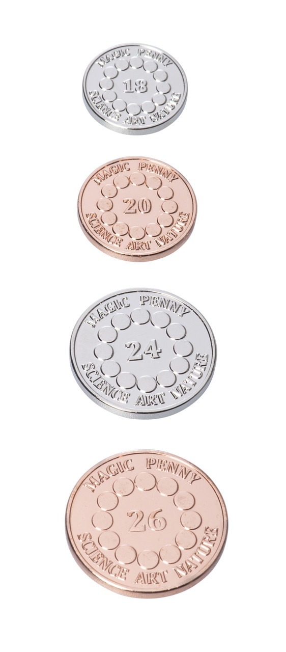 Magnetic Penny Science Experiment Kit