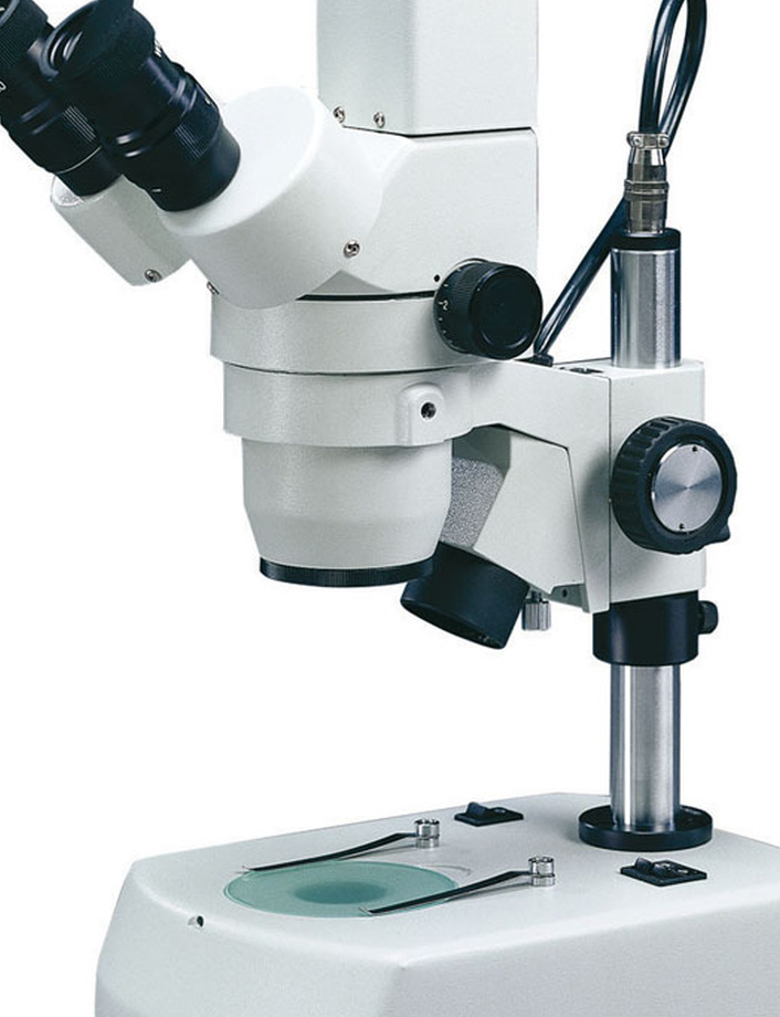 Science Gifts, Sale Items, Microscopes and More