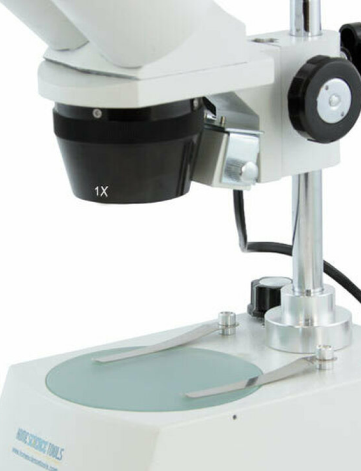 Science Gifts, Sale Items, Microscopes and More