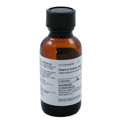 Gram's Iodine Stain - 15 mL - Bacteria Staining | HST
