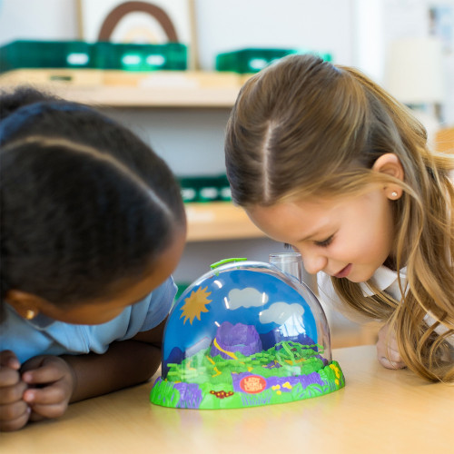 Ladybug Kit | Ladybug Land: Habitat & Growing Kit | HST