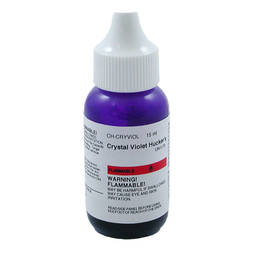 Crystal Violet, Hucker's, 15 mL | Home Science Tools