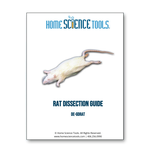 Rat Dissection Guide