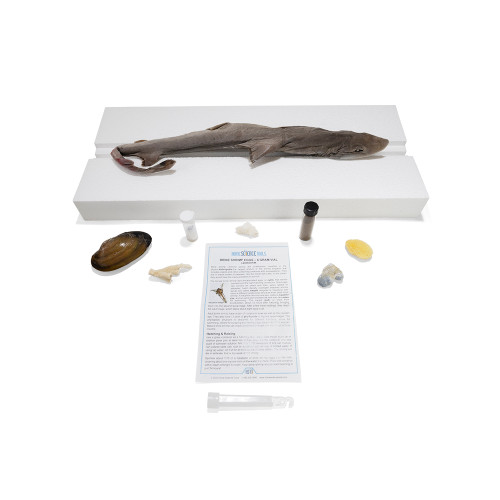 Apologia Marine Biology Dissection Kit