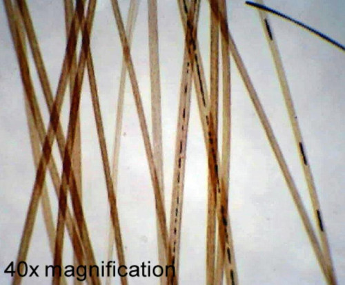 Hair slide, three types, w.m.