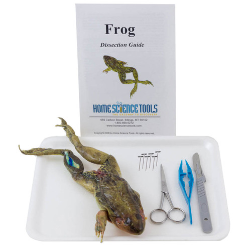 Frog Dissection Kit | Biology Frog Dissection for Anatomy Lab