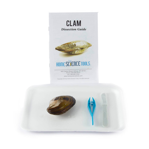 Clam Dissection Kit: with clam, HST how-to guide, tools & tray